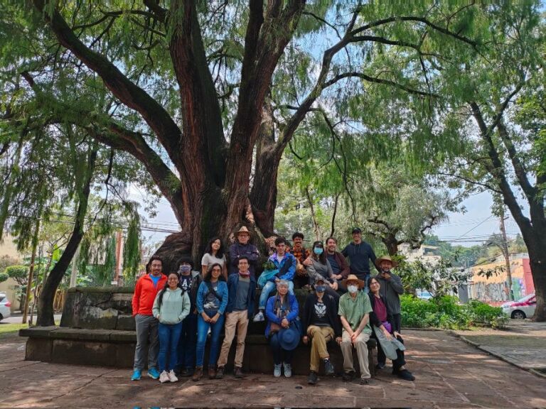 Para admirar, querer y cuidar: Conoce los árboles más asombrosos de la ...