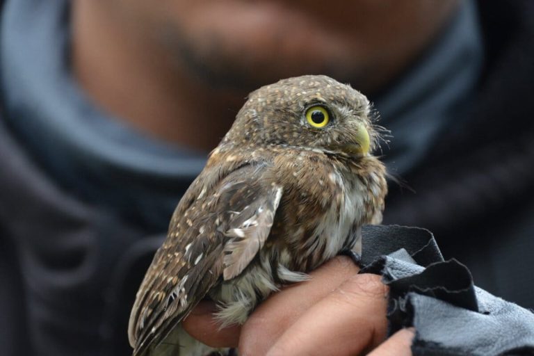 El investigador que usa la ciencia para defender al Bosque de Agua en ...