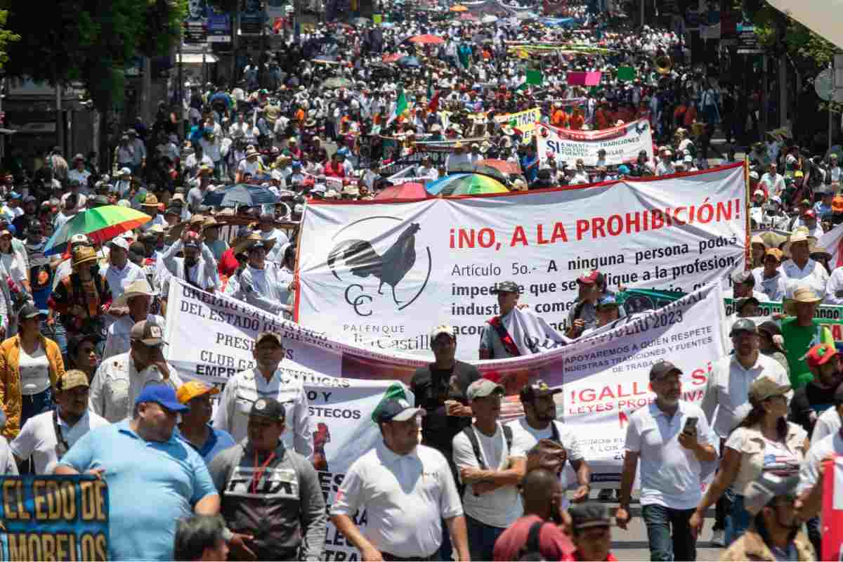 Protestas contra prohibición de peleas de gallos causan caos en CDMX y AICM