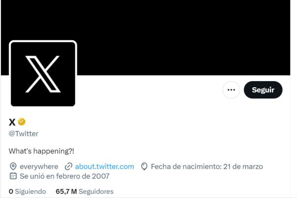 Adiós, pajarito: Elon Musk presenta nuevo logo y cambio de nombre para ...