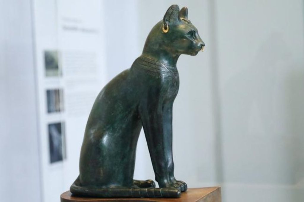 Por qué el Día Mundial del Gato se celebra tres veces al año