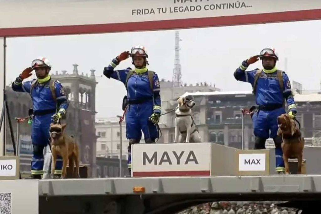Frida y Proteo por siempre en nuestros corazones: homenajean a los ...