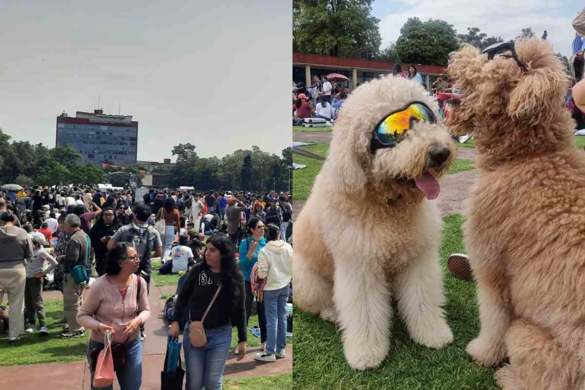 Visores, filtros y telescopios: así vieron el eclipse solar en las ...