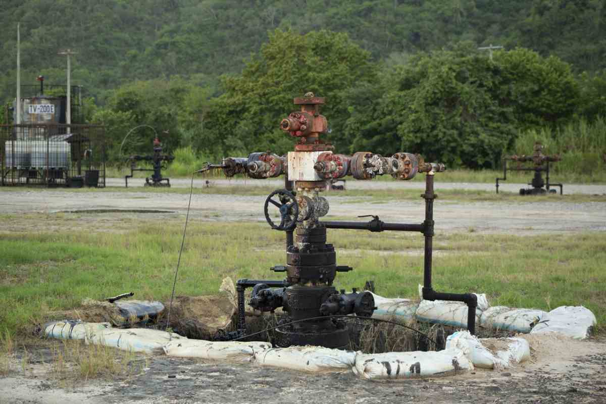 Más de 38 mil parcelas de Sembrando Vida están en riesgo por el fracking; Veracruz e Hidalgo los ...