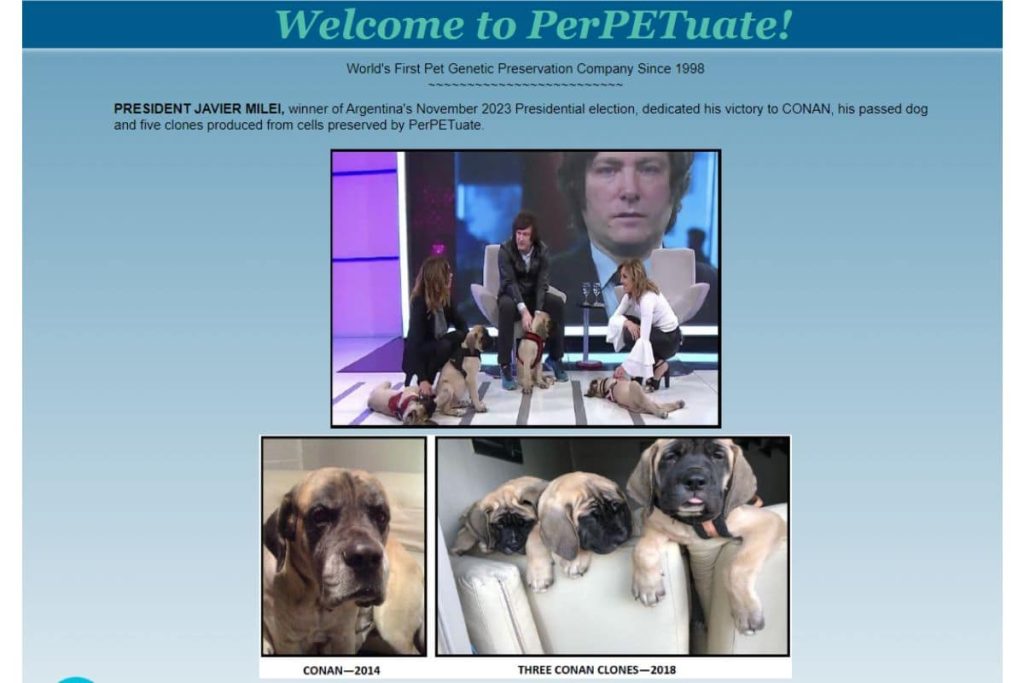 Los perros clonados de Milei que también son sus mejores consejeros