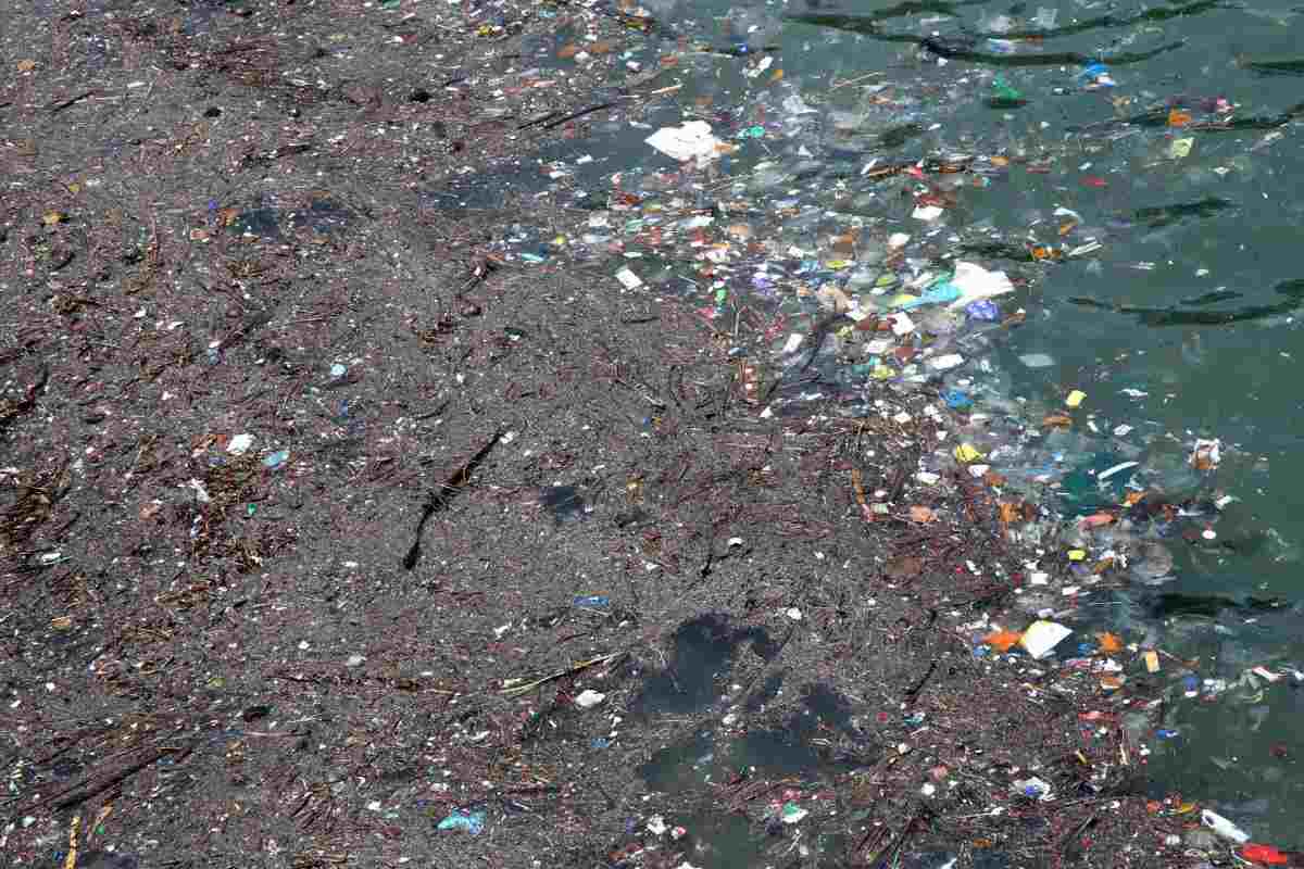 ¿Cuál es la relación entre la contaminación por plástico y el cambio ...