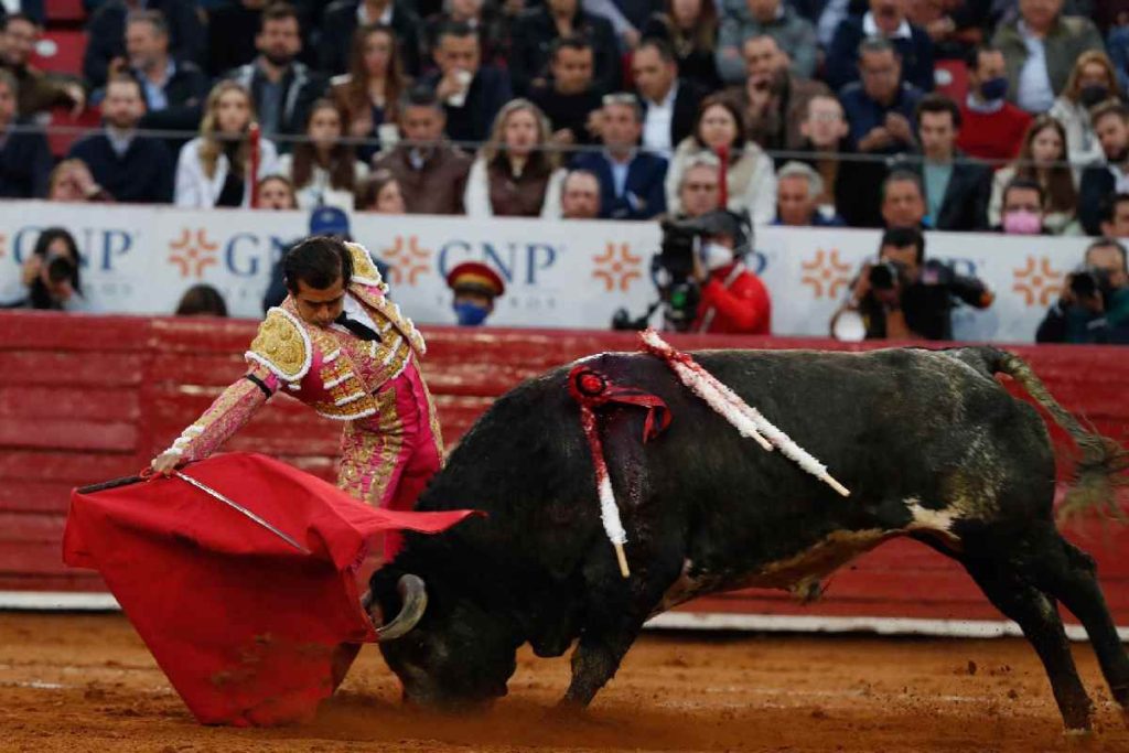 Frenan otra vez corridas de toros en Plaza México a días de su ...
