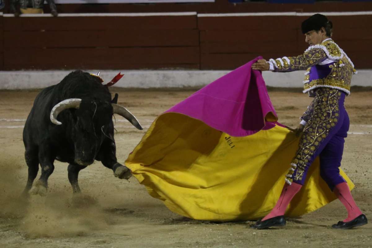 Estos son los estados en México dónde ya son prohibidas las corridas de ...