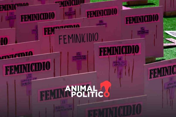 Asesinan en Puerto Vallarta a abogada de Comisión para Víctimas de ...