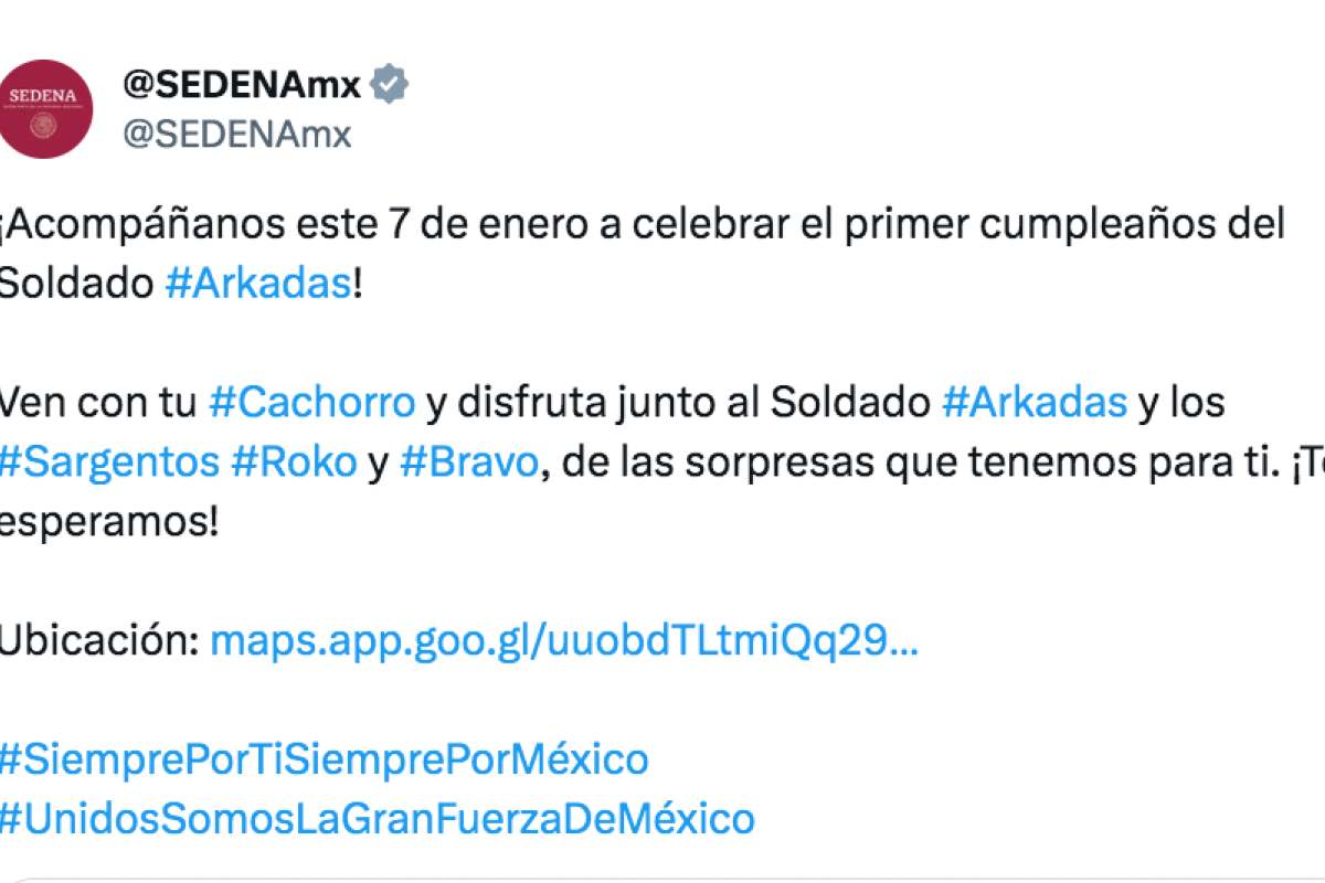 ¡Fiesta de perritos! Arkadas, el perro rescatista, celebrará su ...