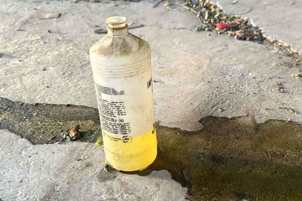 Colectivos localizan hornos y fosas clandestinas y 27 bolsas con segmentos humanos en El Salto ...