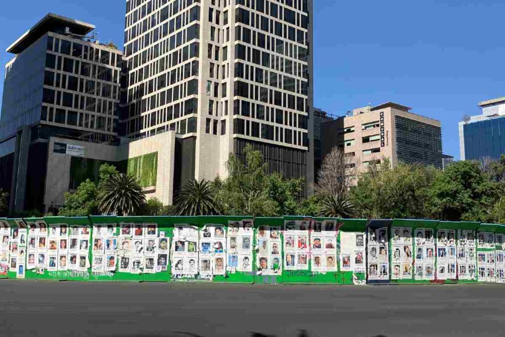 Por qué el ahuehuete de Reforma reverdece a pesar de la contaminación y ...