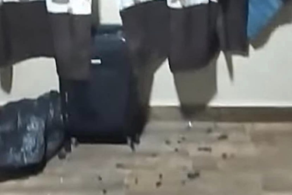 Candidato de MC a la alcaldía de Amanalco, Edomex, resulta herido tras ...