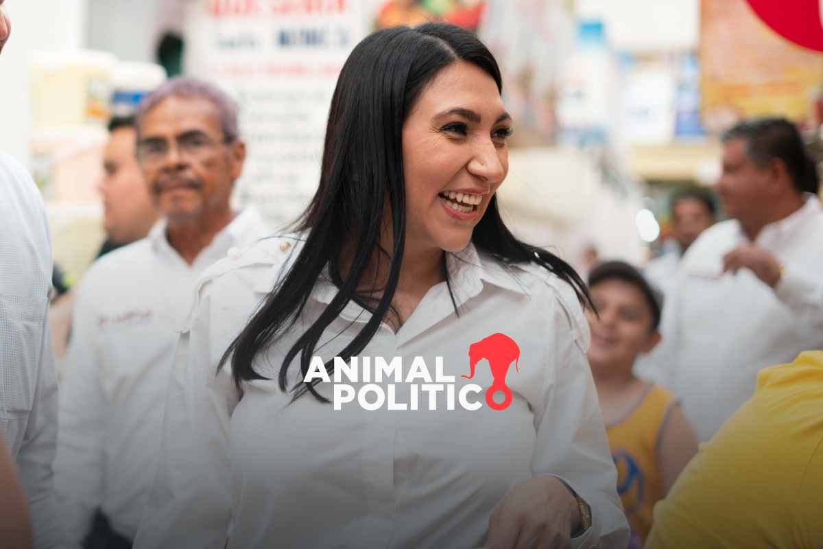 Niegan registro a candidato de Morena en Celaya que sustituyó a Gisela Gaytán; partido debe ...