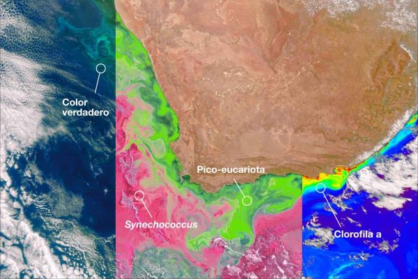 Así es como PACE de la NASA nos ayuda a estudiar los océanos desde el ...
