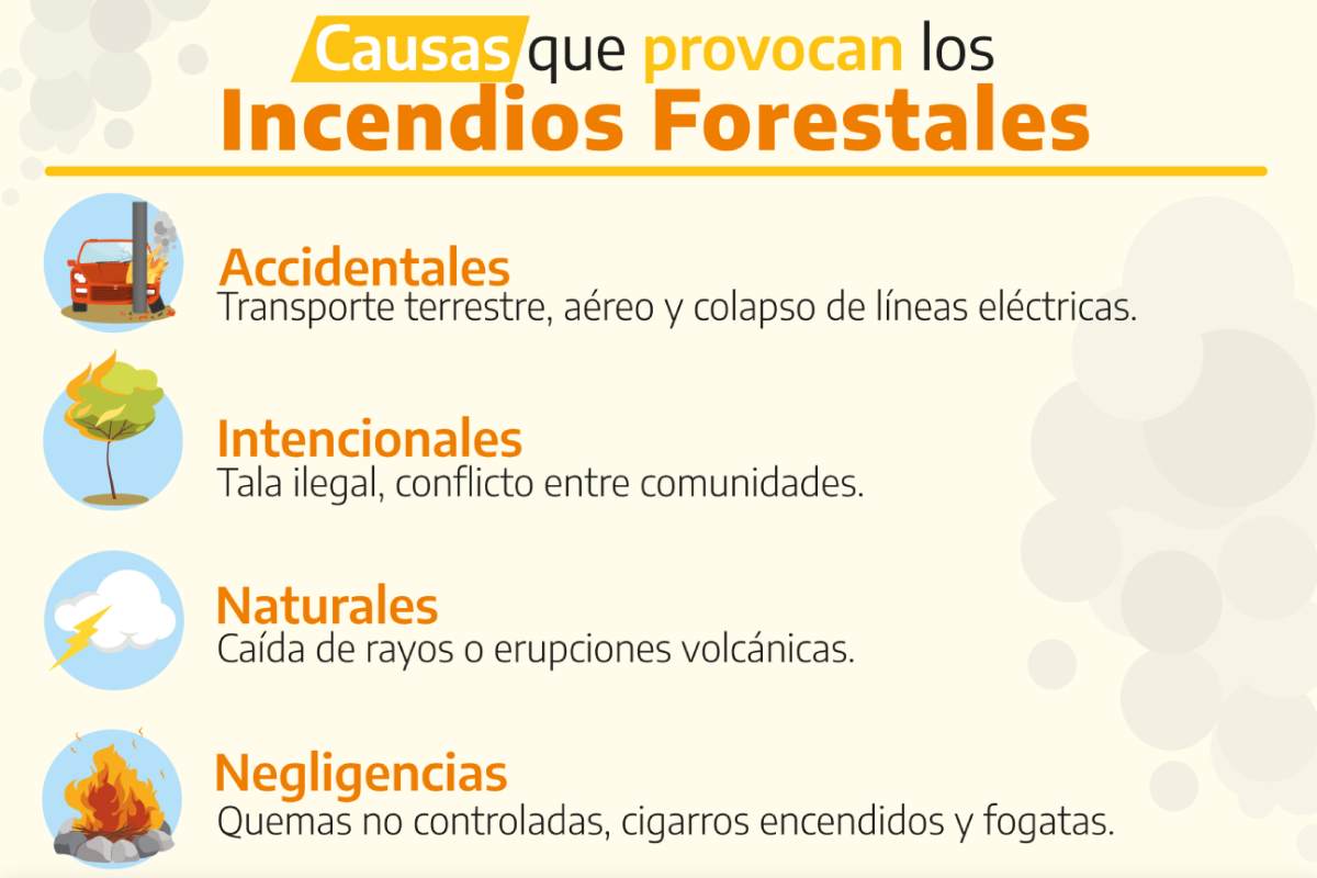 Suspenden clases en Acapulco y Chilpancingo por contaminación causada por incendios forestales ...