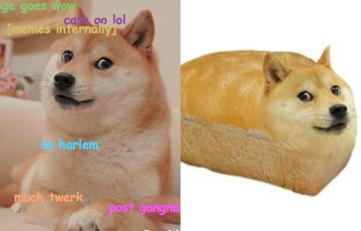 Meme Del Doge Wow Much Wow GIFs | Tenor