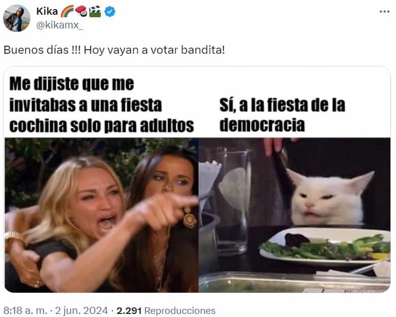 Los memes de las elecciones 2024 que arrasan en las urnas (y nuestros ...