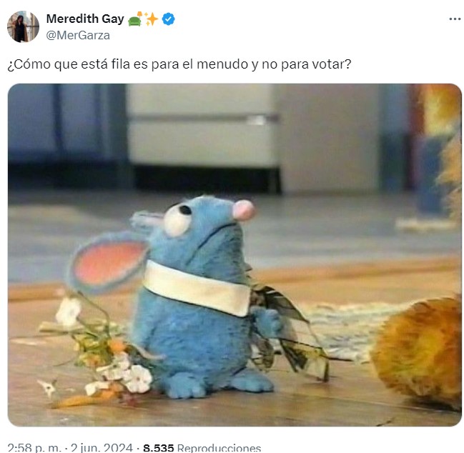 Los memes de las elecciones 2024 que arrasan en las urnas (y nuestros ...