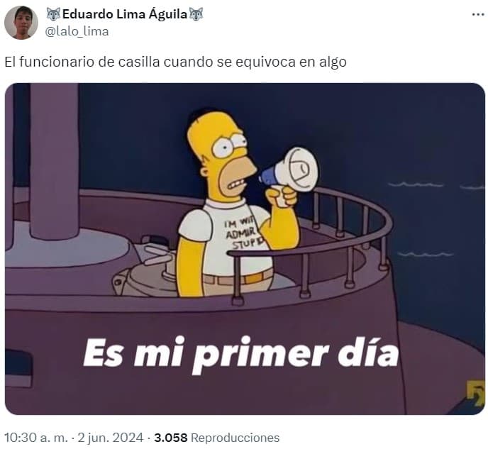 Los memes de las elecciones 2024 que arrasan en las urnas (y nuestros corazones)