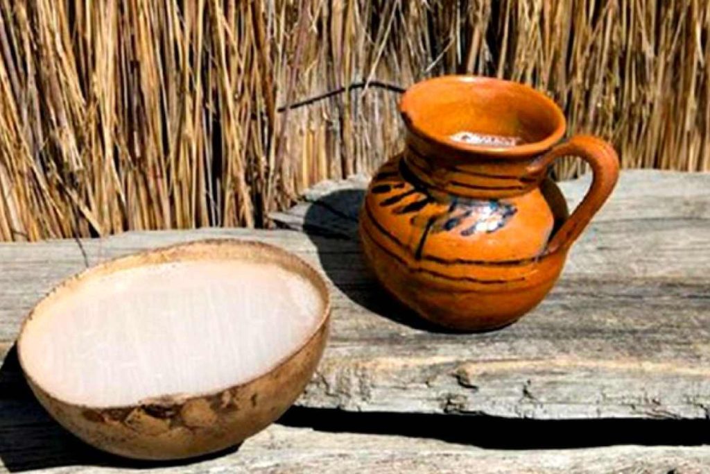 Festival del Pulque y otras cositas más para hacer el fin de semana