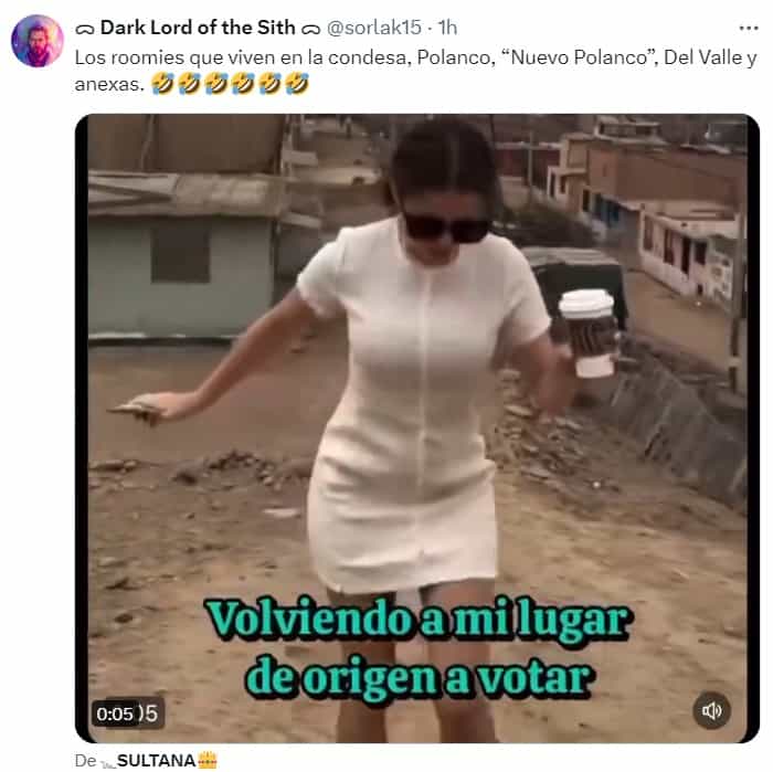 Los memes de las elecciones 2024 que arrasan en las urnas (y nuestros ...