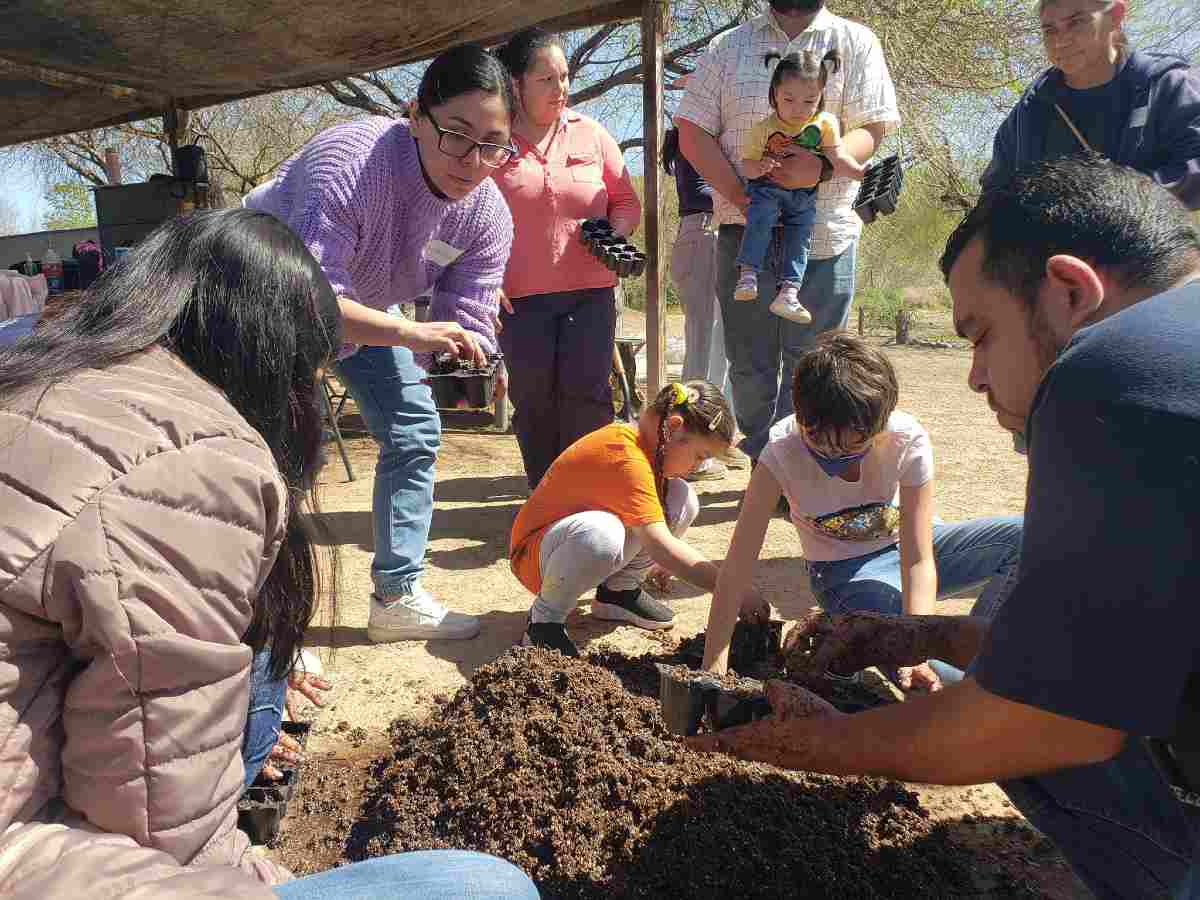 Reverdecer el desierto: el trabajo para revivir los ecosistemas en el ...