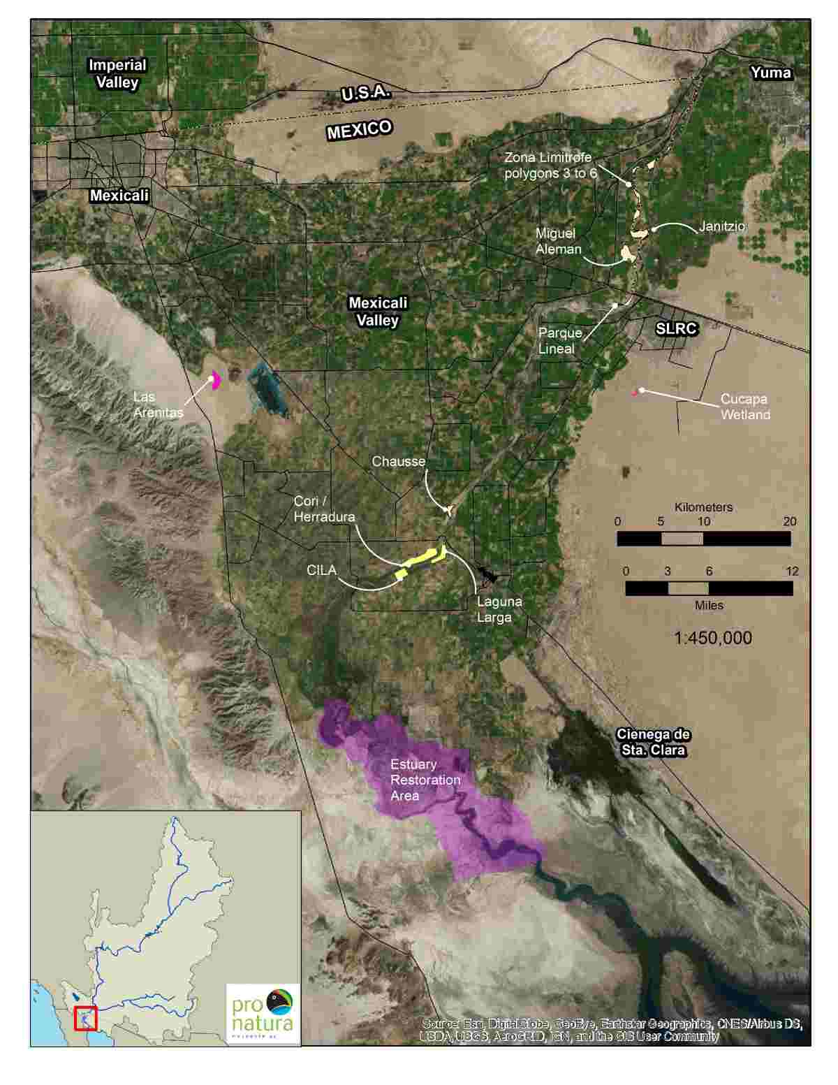 Reverdecer el desierto: el trabajo para revivir los ecosistemas en el ...