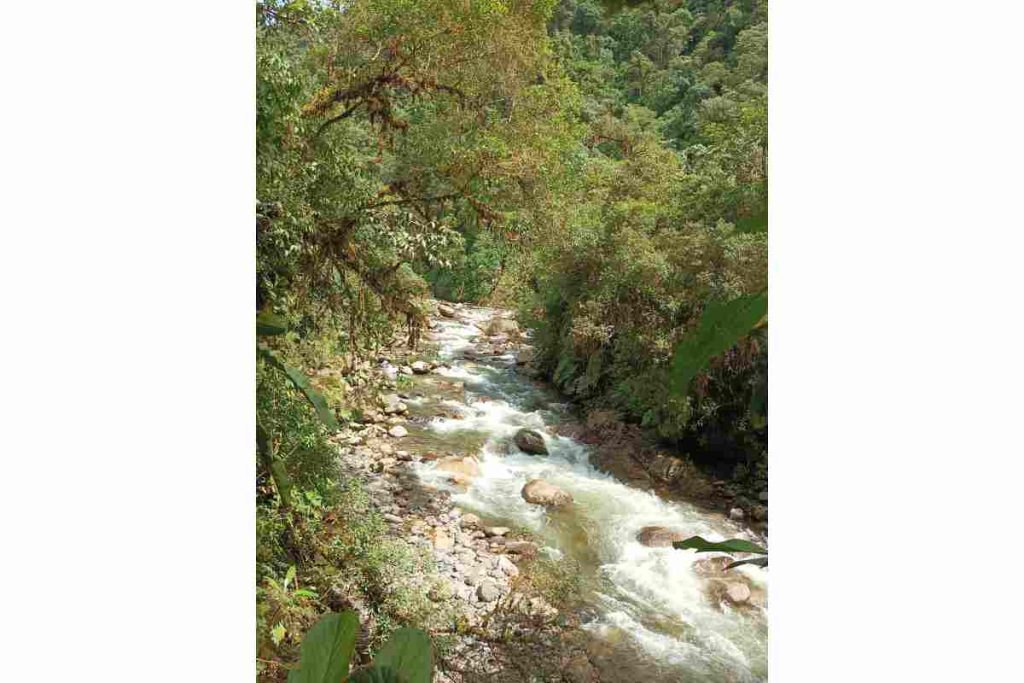 Día Internacional de los Parques Nacionales: tres iniciativas para proteger a la naturaleza en ...