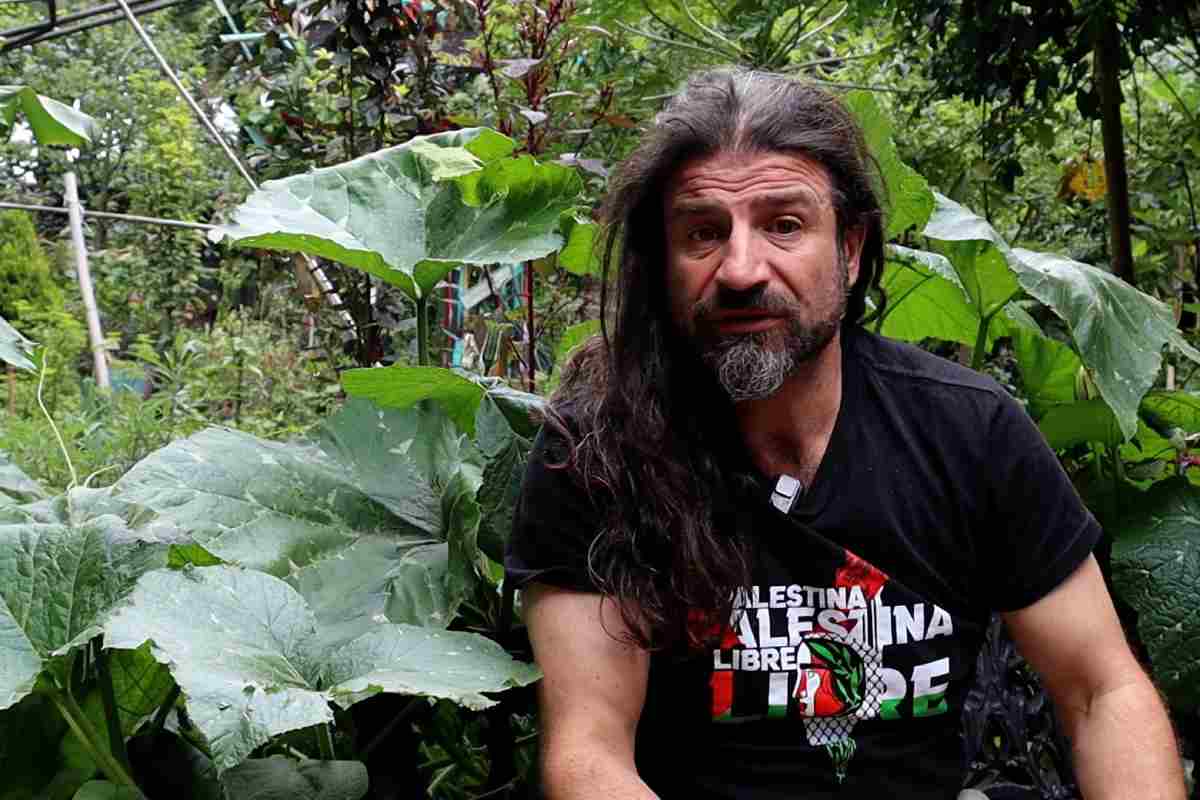 Pallasos en Rebeldía y artistas llevan apoyo y sonrisas desde México hasta Palestina