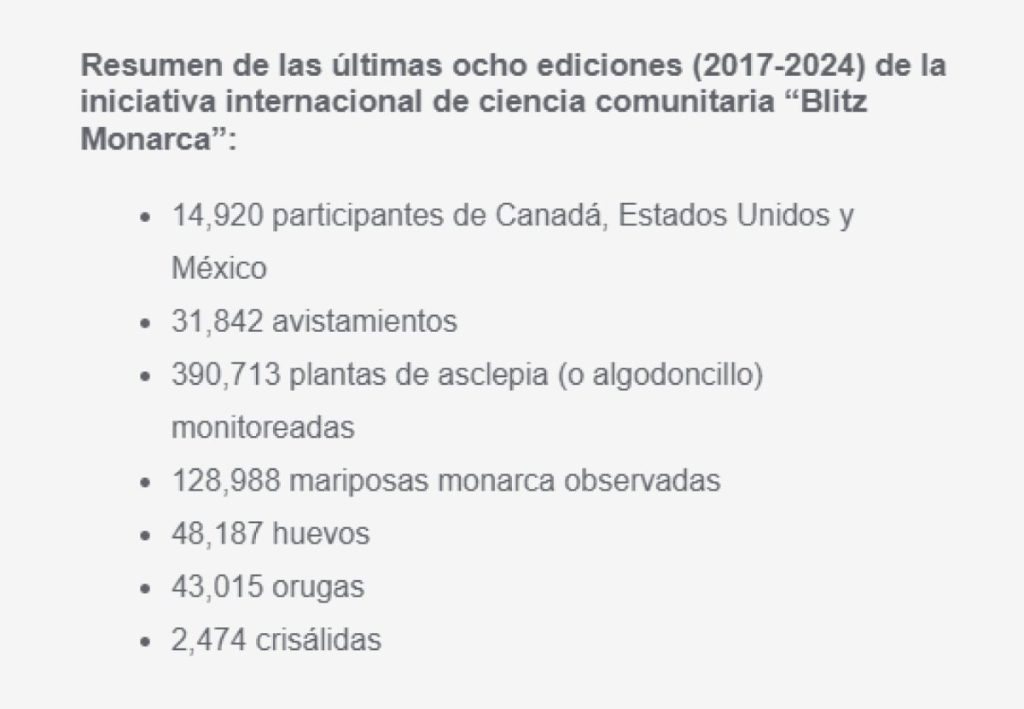 La conservación de la mariposa monarca dio un gran paso en 2024, pero aún falta mucho por hacer