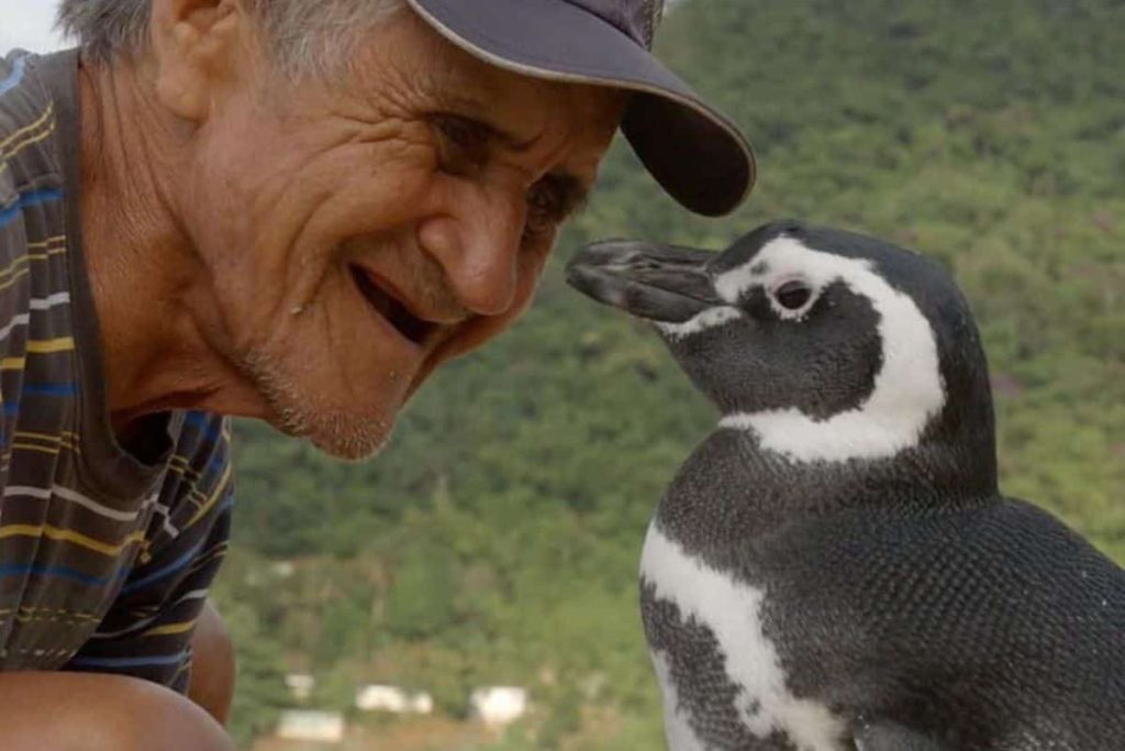 La increíble historia real de ‘Mi amigo el pingüino’, la película con Jean Reno y Adriana Barraza