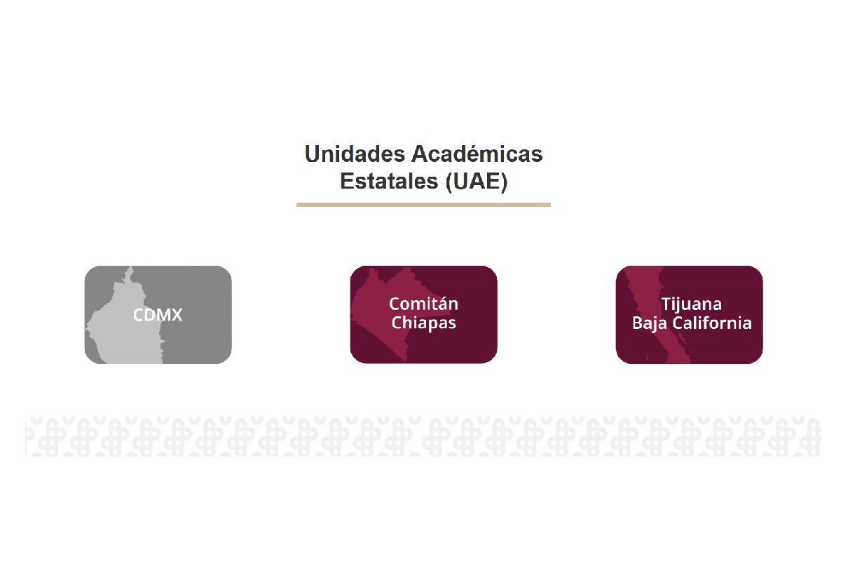 Universidad Rosario Castellanos abre convocatoria en Tijuana y Comitán para estudiar sin examen ...