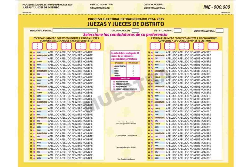 Ilegibles y confusas: el INE aprueba las boletas más complicadas de la historia, para la ...