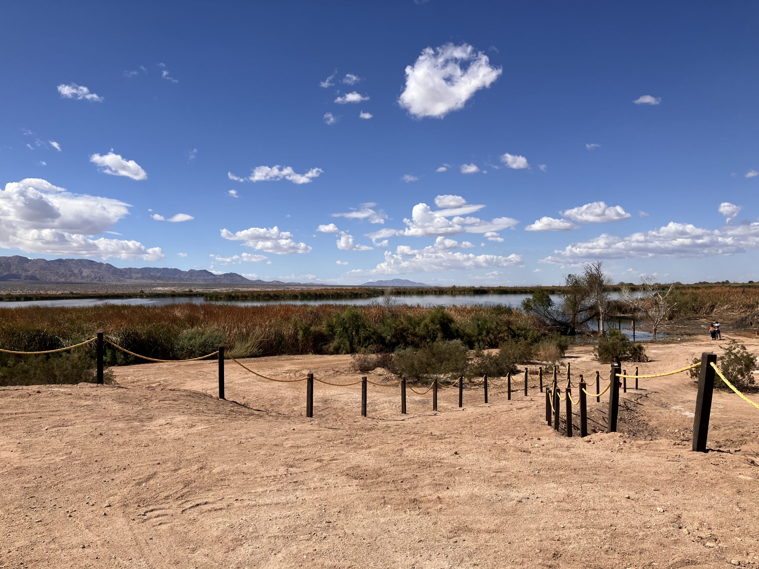 Las Arenitas, el humedal artificial que da un nuevo hogar a las aves ...