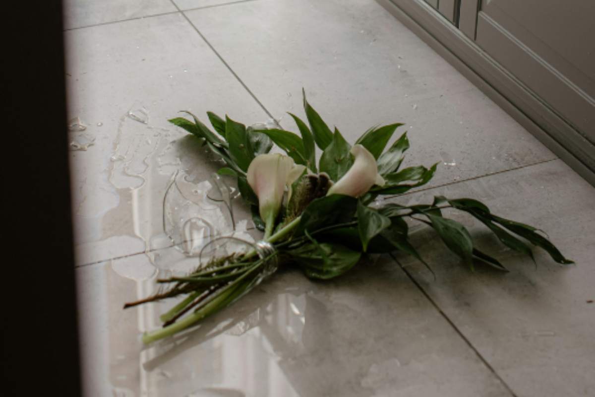 “Migajera” entre memes y viralidad: ¿qué nos dice este término sobre ...