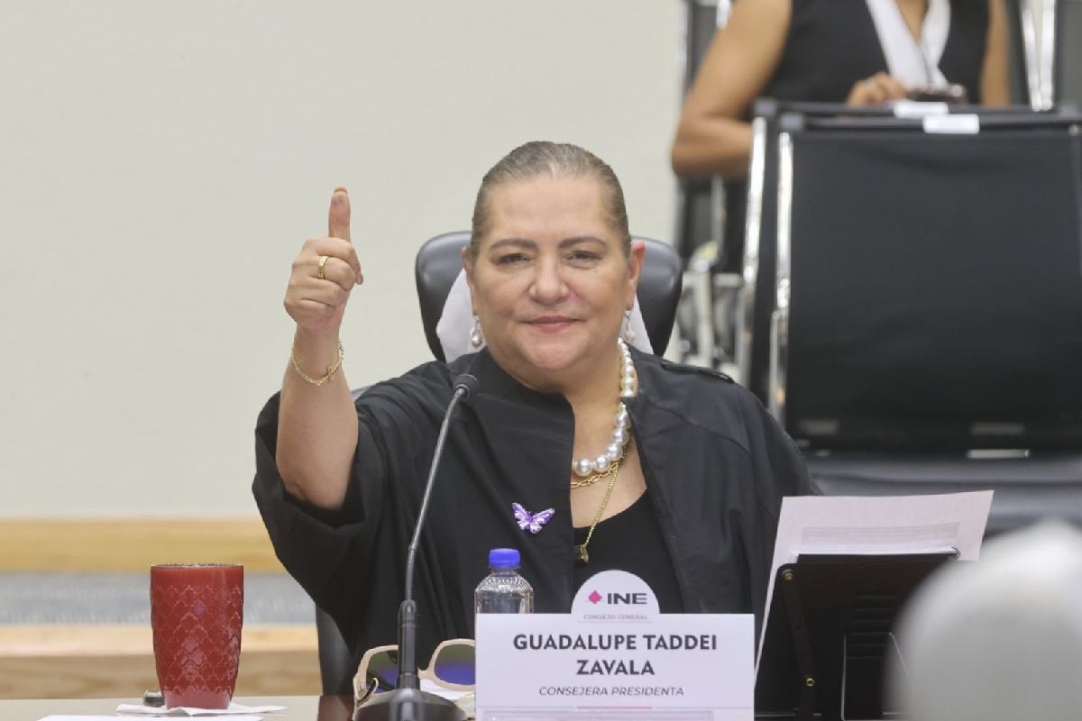 Hijo de Guadalupe Taddei asciende a secretario particular del gobierno ...