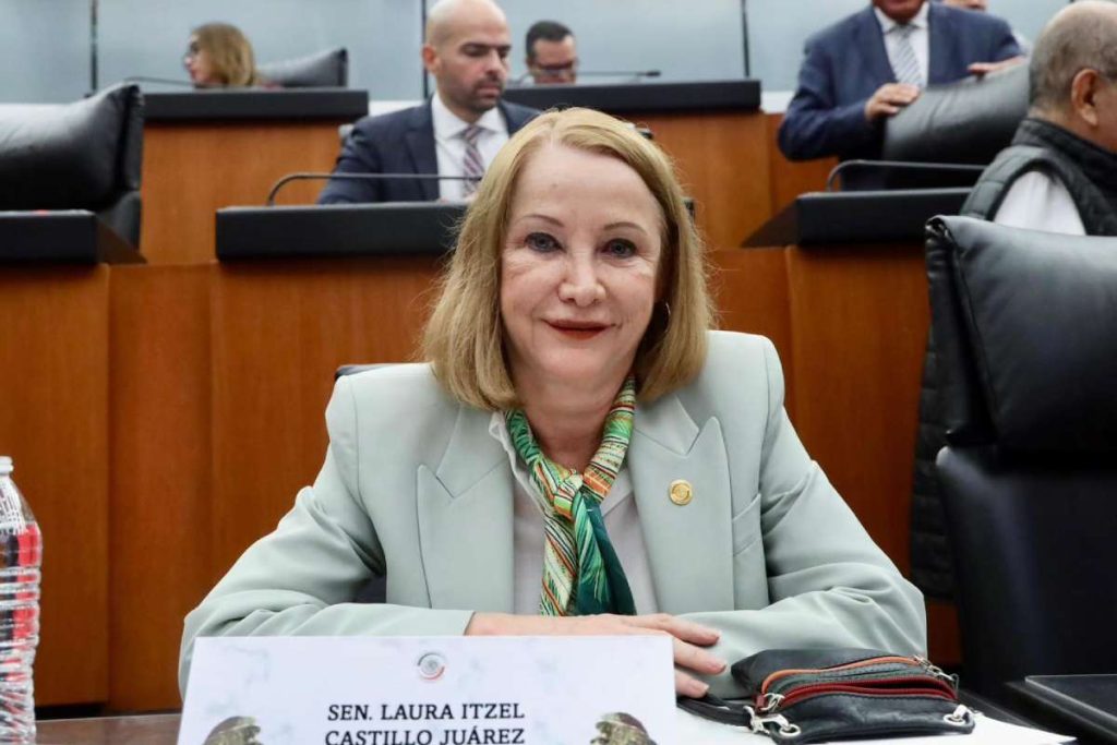 Laura Itzel Castillo, la obradorista que presidirá el Senado
