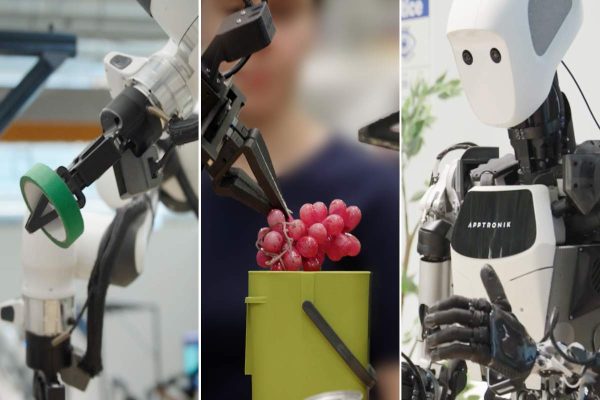 ¿México presentó un robot de combate tamaño humano que supera a los ...
