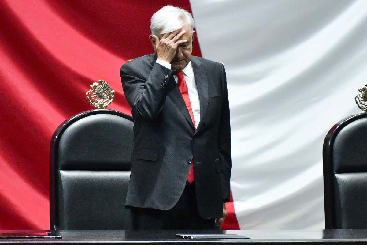 Diputada del PT propone el 13 de noviembre como Día Nacional del ...